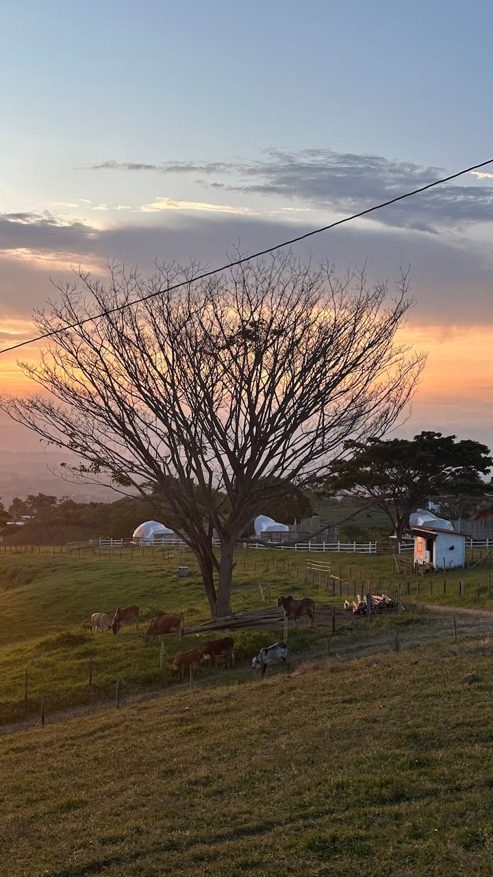 Glamping. Las Estrellas Serán Testigos De Tu Noche - Valle del Cauca