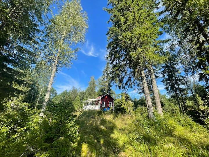 Off-grid I Värmlands Skove I Den Hemmelige Hytte - 스웨덴