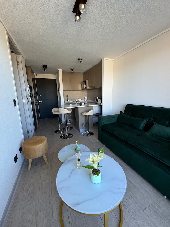 Departamento En El Centro De Ccp - Concepción, Chile