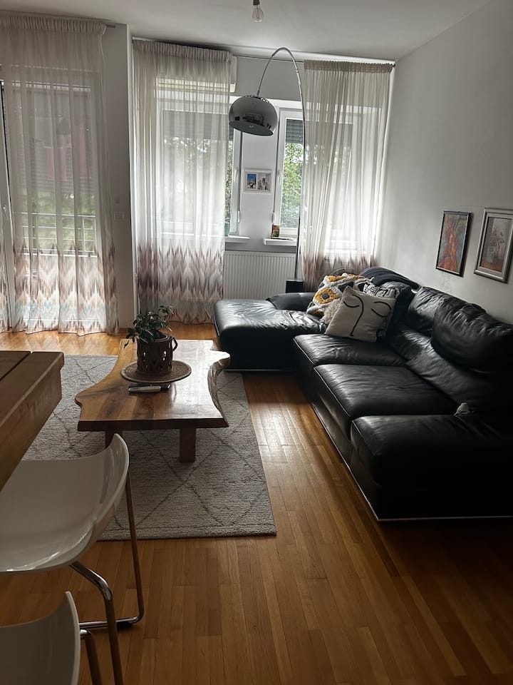 Stylish, Bright And Quiet, City Center Apartment - 斯科普里