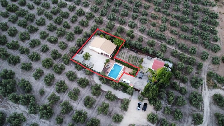 Finca Fuente La Parra - ルセーナ