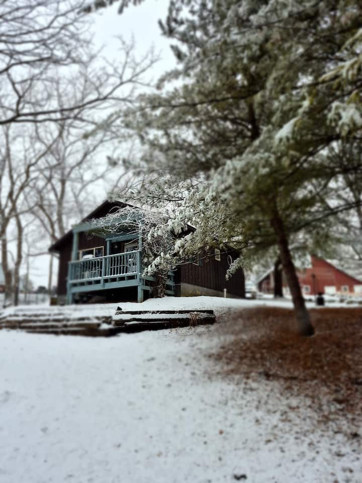 River Rail Retreats Deluxe Cabin At Palisades - Savanna, IL