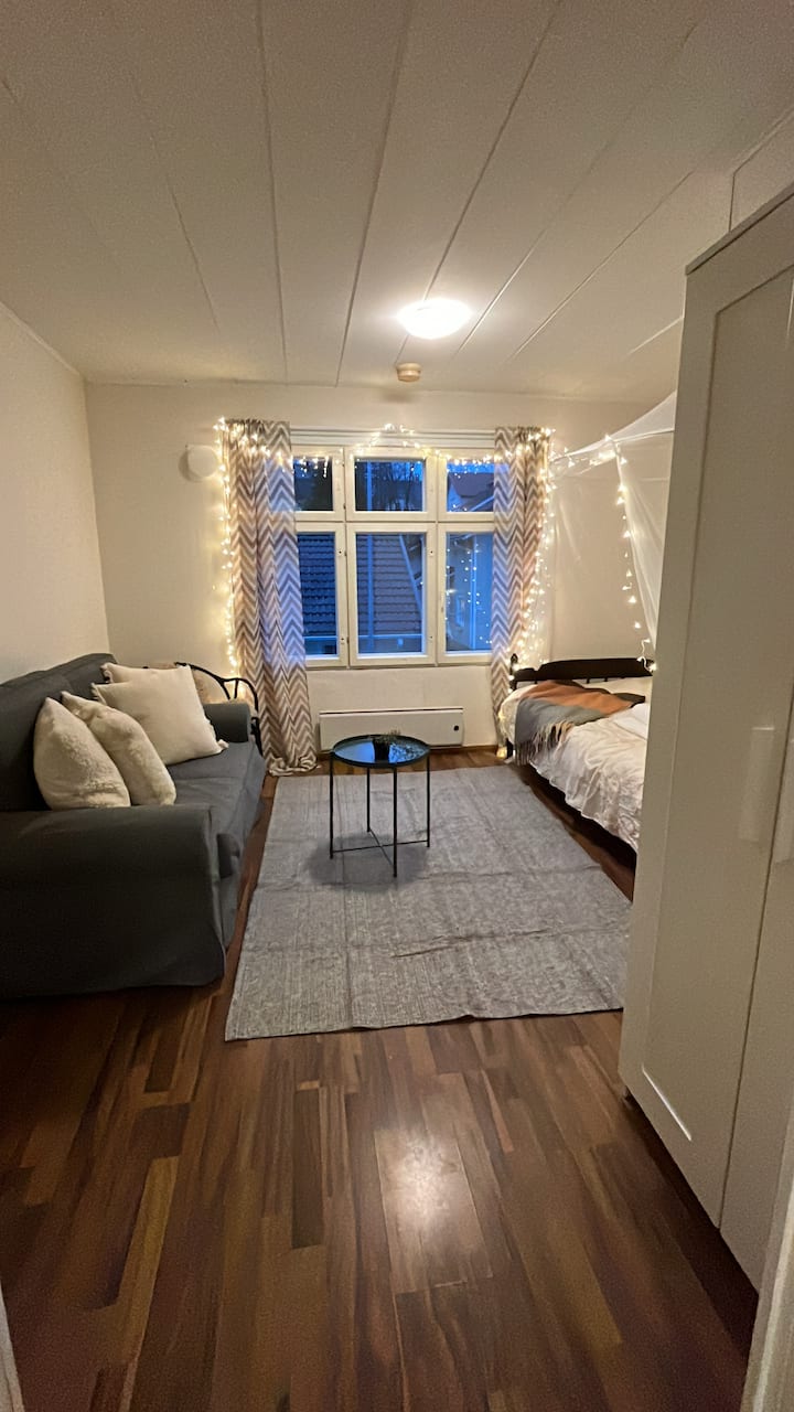 Idyllic Studio Apartment With Sauna - Kaarina