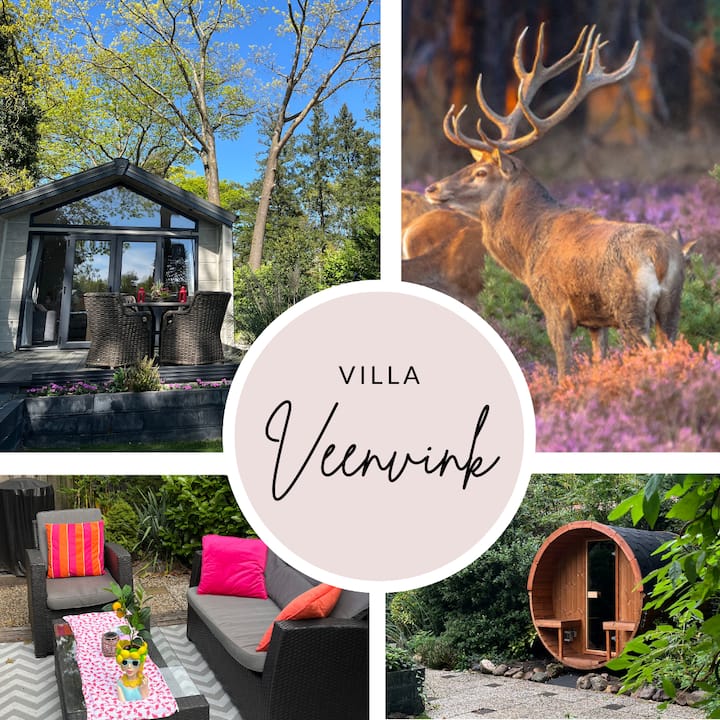 Boshuisje Villa Veenvink Met Privé Sauna - Nederland