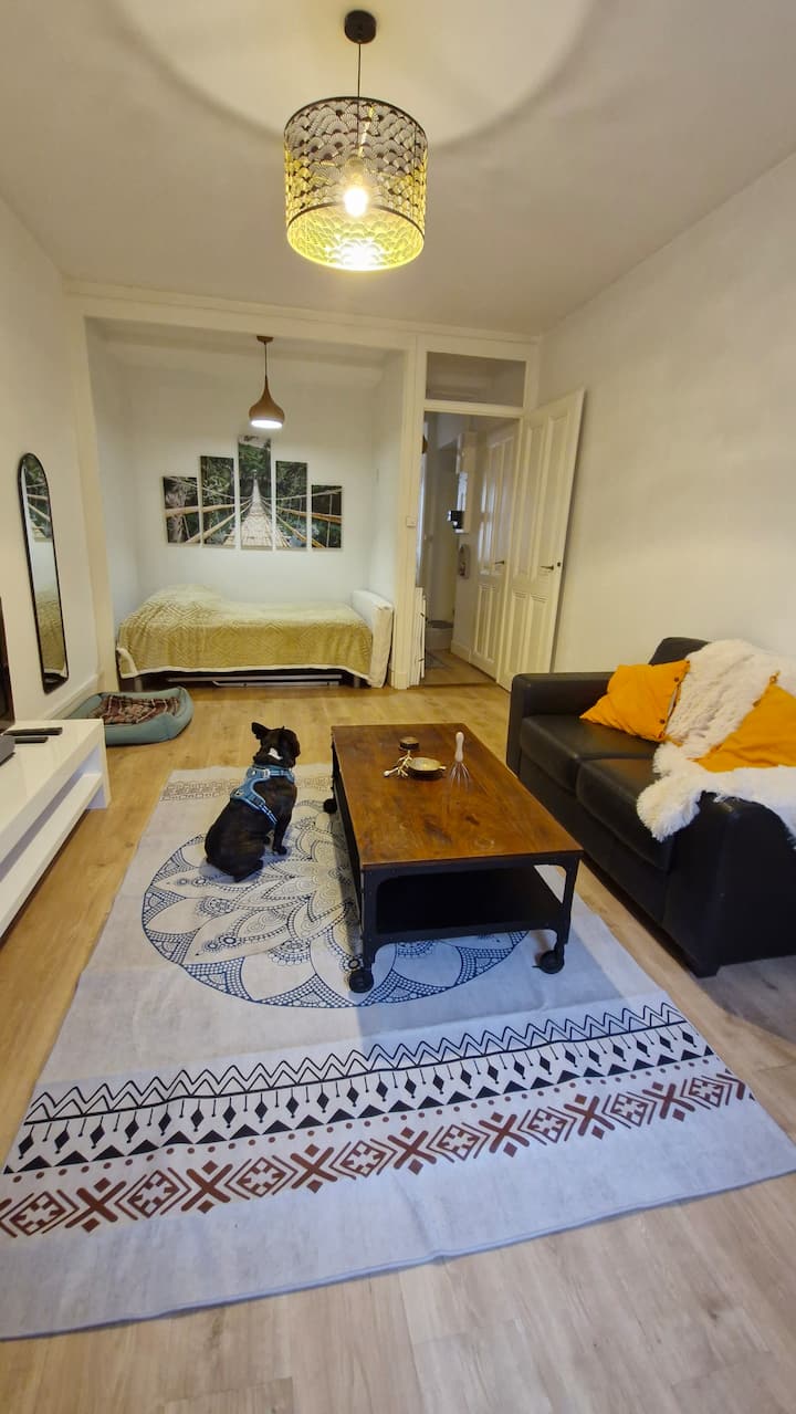 Joli Et Cosy Petit Nid - Ginebra