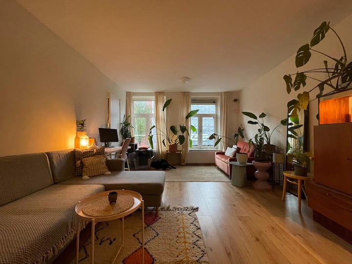 Cozy Apartment - Oosterpark - Amsterdam