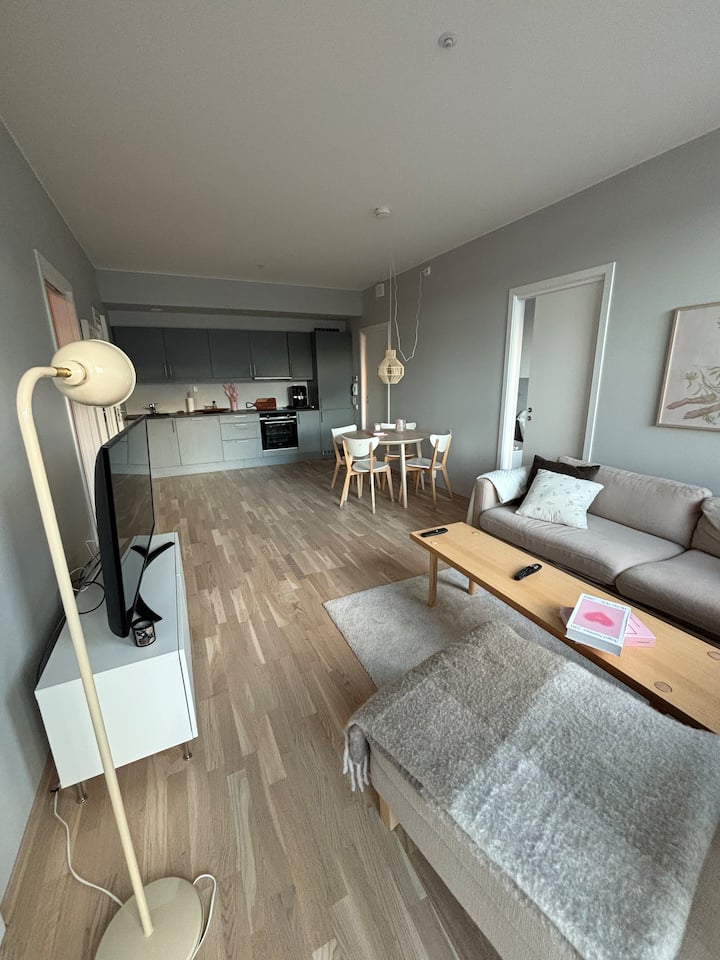 Sentral Leilighet I Trondheim - Trondheim