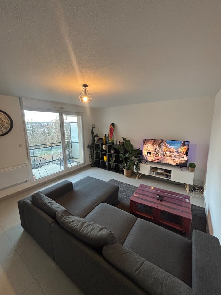 Charmant Appart Près Des Marchés - Mulhouse