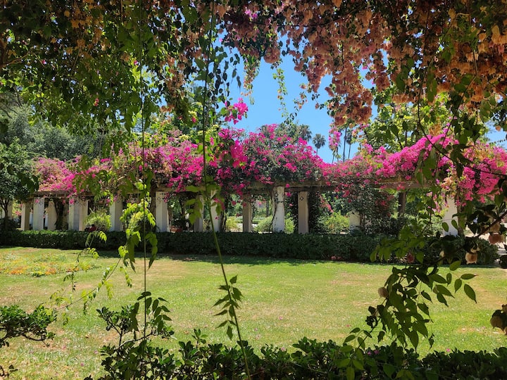 Apartamento Centro De Sevilla. Remedios- Triana - Sevilla
