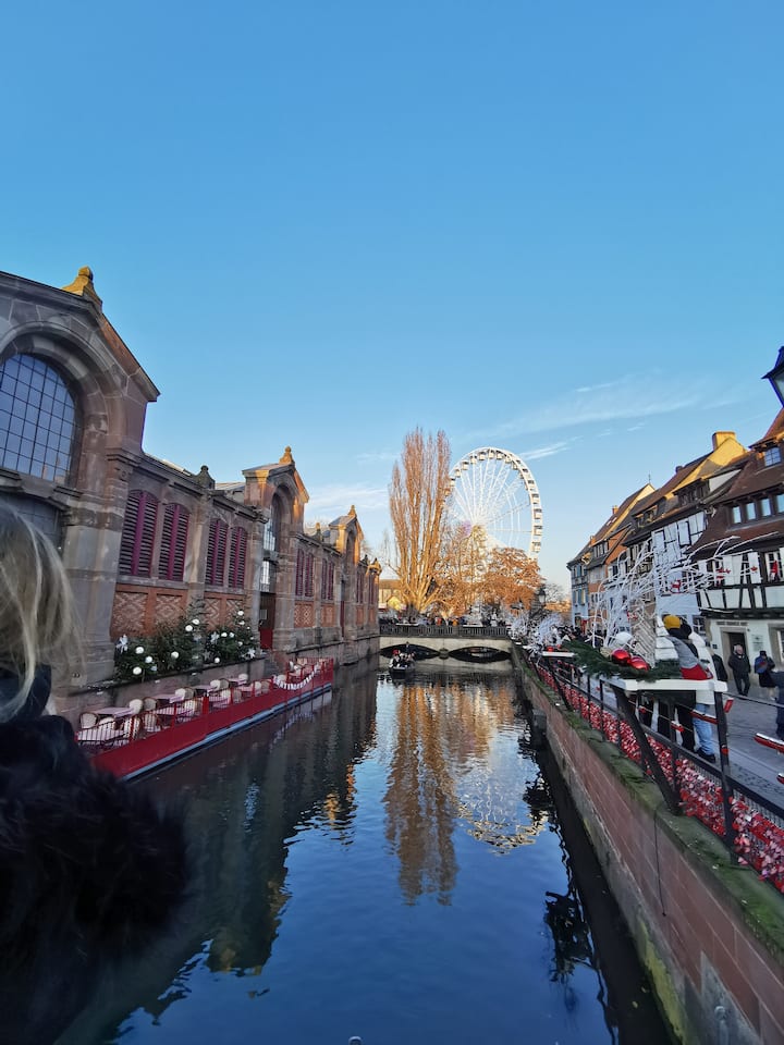 Logement Apparat - Colmar