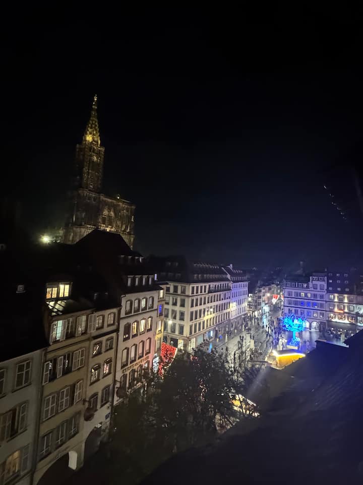 Duplex Vue Sur Cathédrale - Strasbourg
