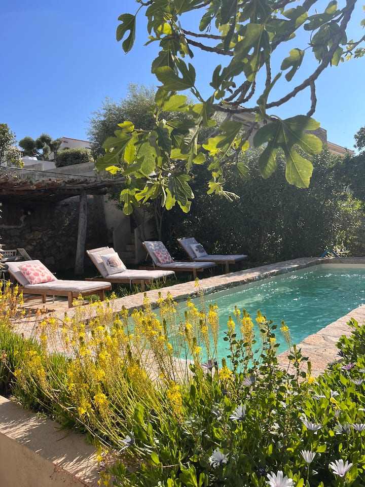 Casa D’estate, Piscine Privée, Jardin Arboré - Plage de l'Ile Rousse