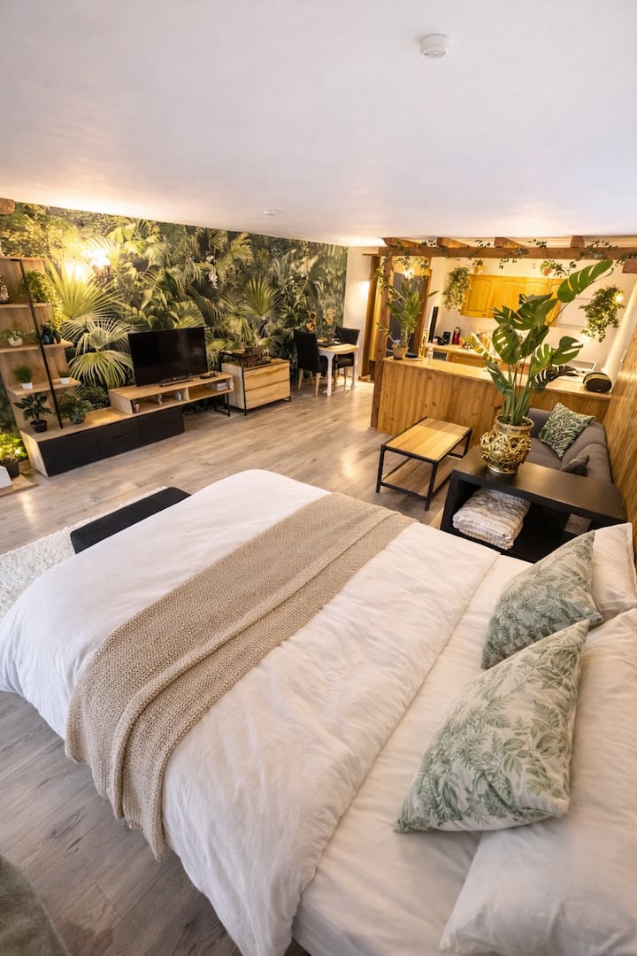 Jungle Studio - Colroy-la-Roche