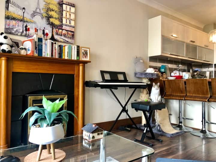 Full 2br Apt In Dublin 1 -
