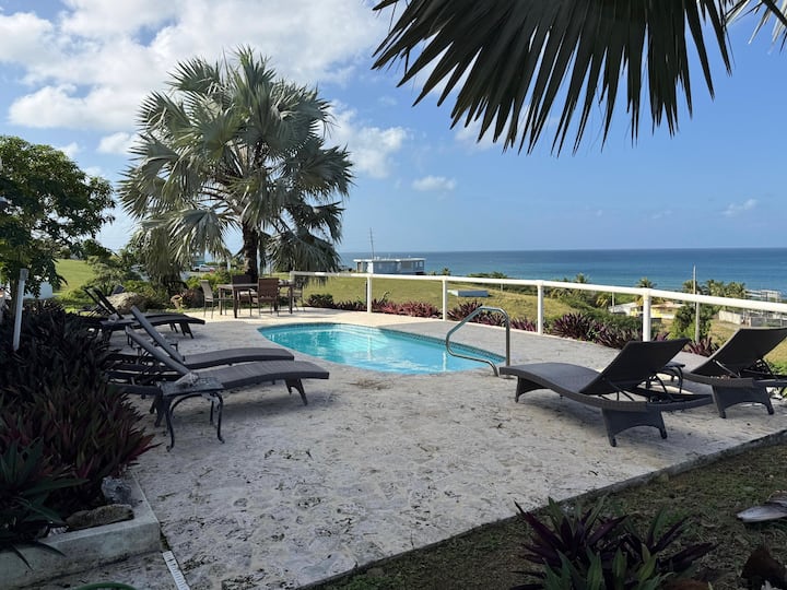 1br/w - Spectacular Ocean View/pool/walk To Beach - Vieques