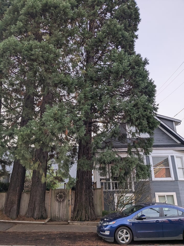 Charming Suite In Mt Pleasant - Vancouver