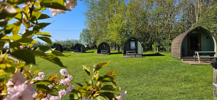 Camping Pod On Small, Adults Only Site (5) - Pocklington