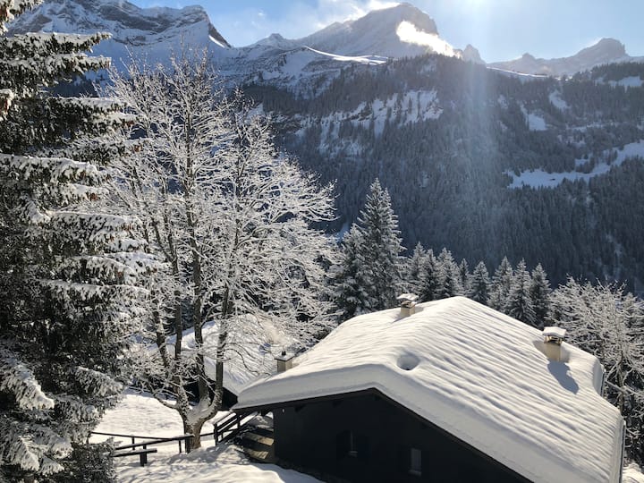 Chalet De Montagne - Les Diablerets