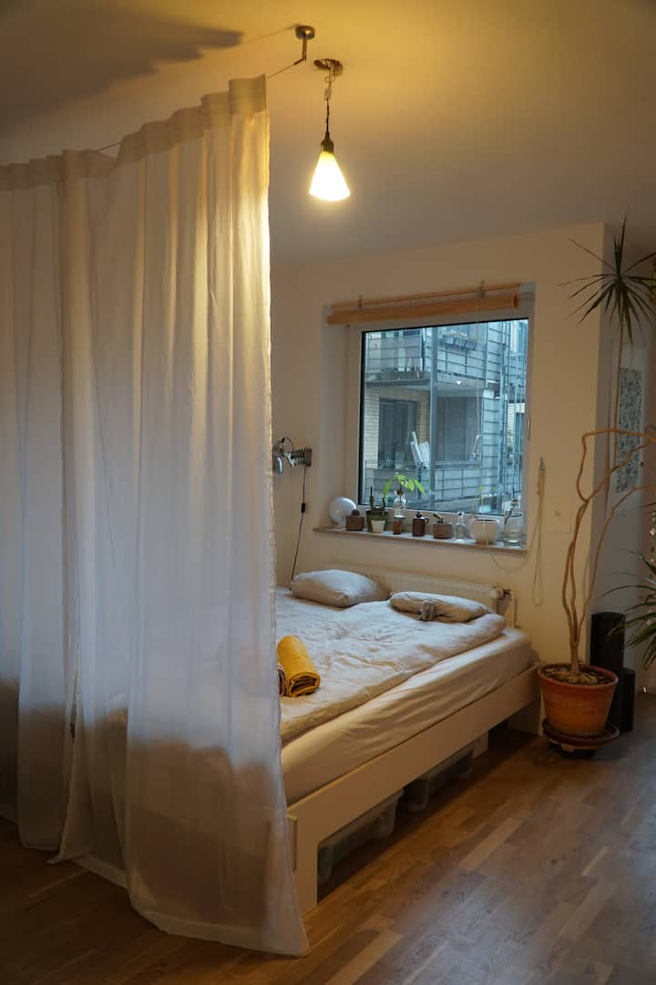 Zentrale Wohnung In Kölner Altstadt - Keulen