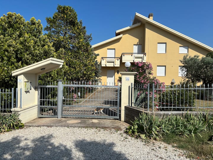 Mare E Monti - Cupra Marittima