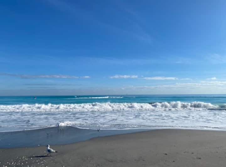 Dream No More, You Are Here. Welcome To Paradise. - Jupiter, FL