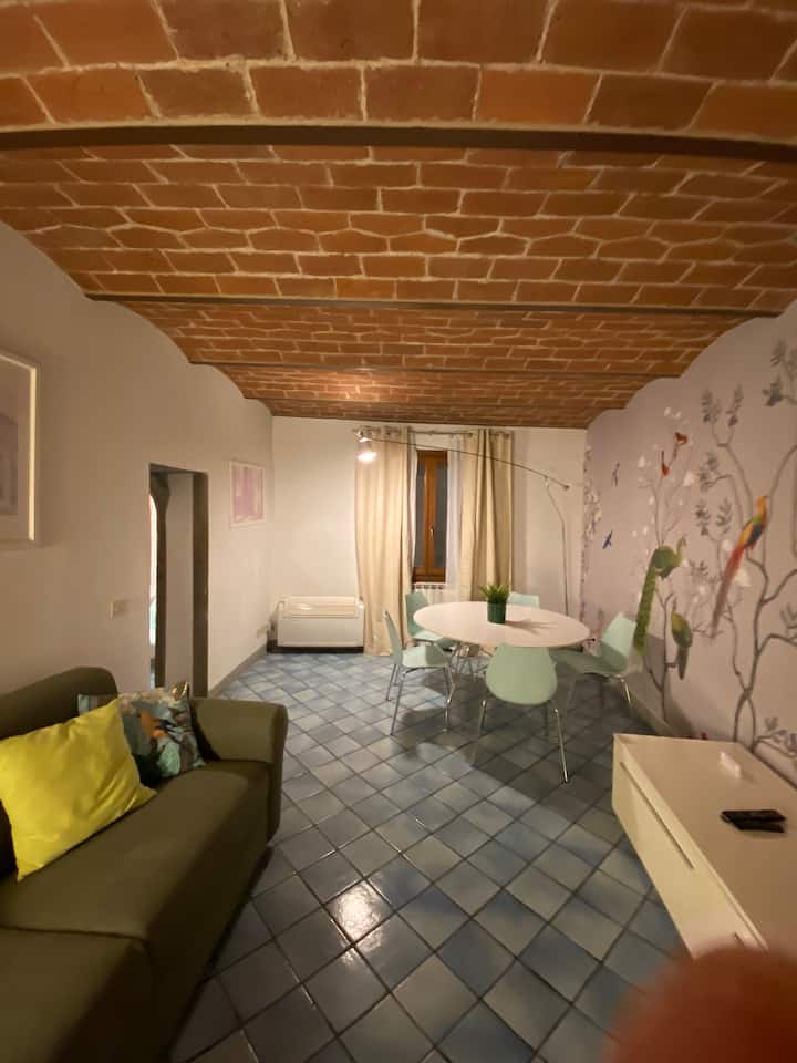 Santo Spirito Apartment - Florence