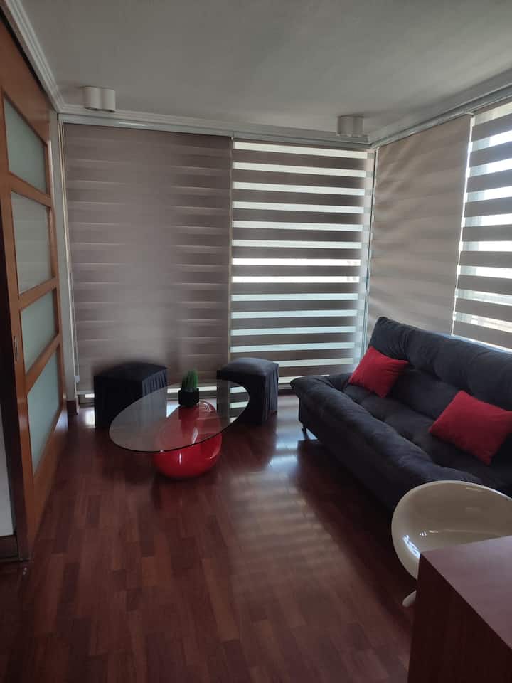 Barros Borgoño Providencia Departamento - Providencia