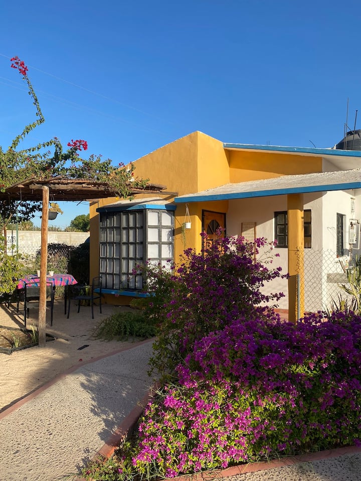 Estancia Encantadora Y Acogedora. - La Paz, Mexique