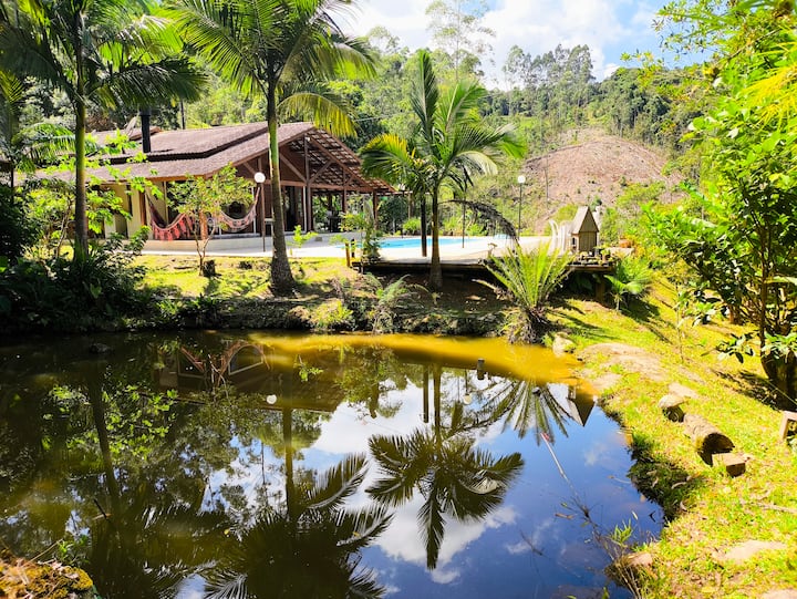 Casa De Sítio, Piscina, Açude, Riacho. - Santa Catarina (estado)
