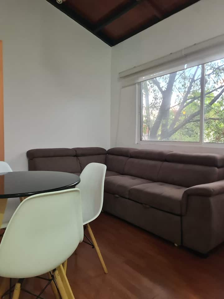 Casa Y Estudio. - Mexico City