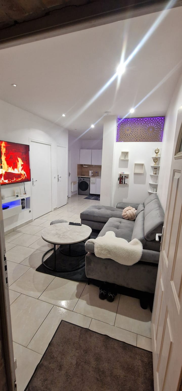 Appartement Cosy Villepinte - ibis Styles Paris Charles de Gaulle Airport
