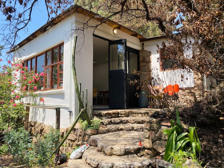 Cozy Guesthouse In Serene Garden - Johannesburg