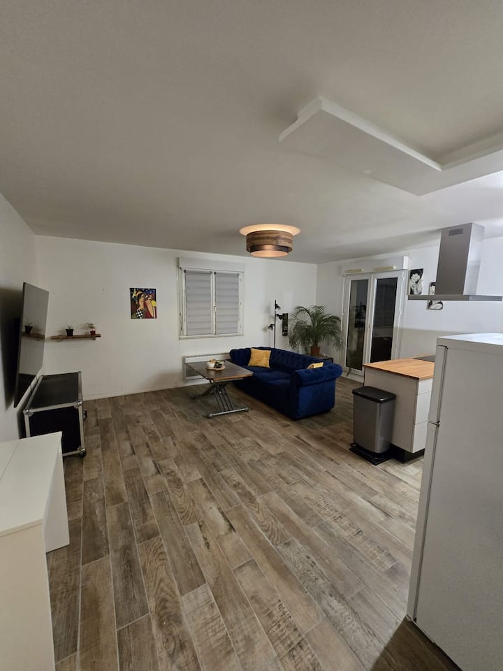 Appartement Parking Gratuit - Strasbourg