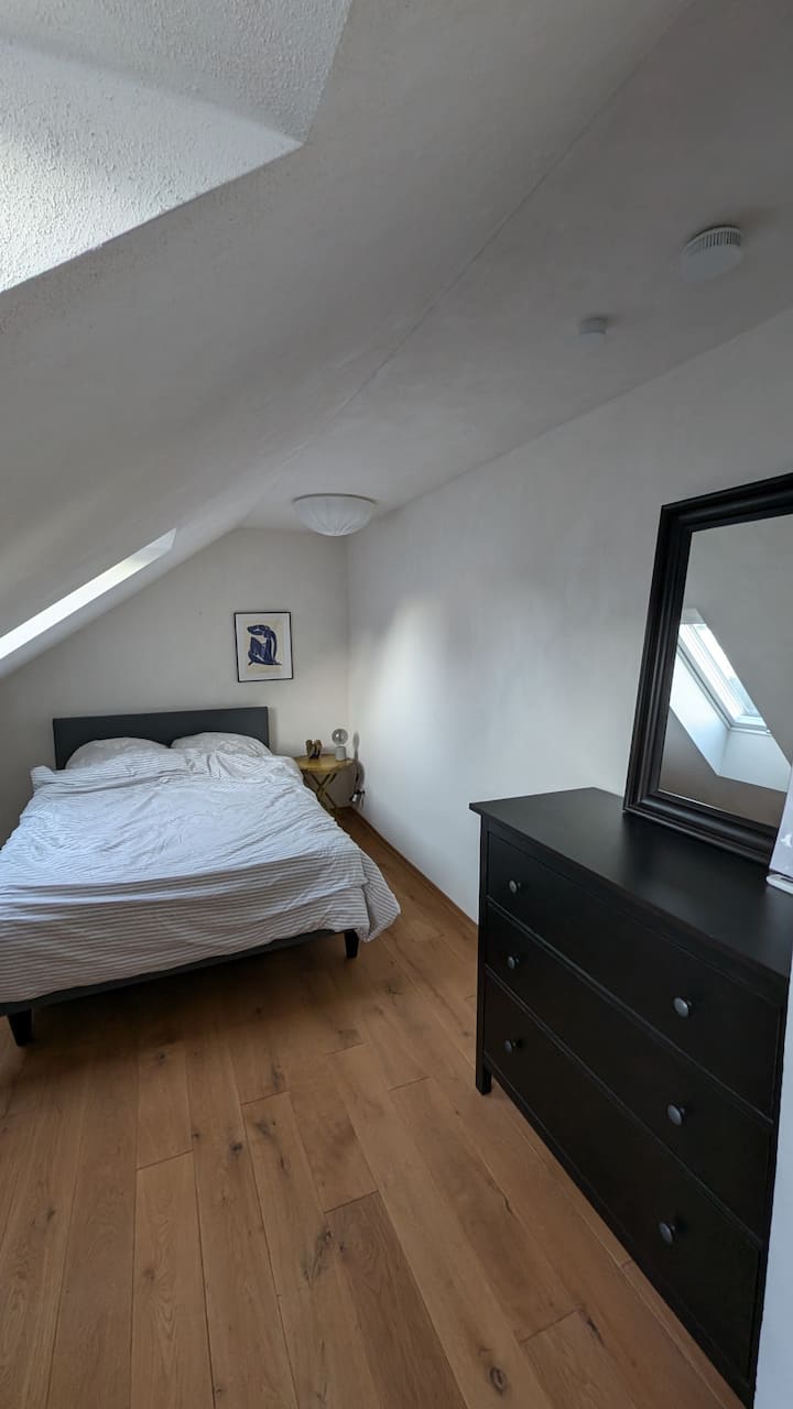 Zentrumsnahe Dg Wohnung Kassel - Kassel