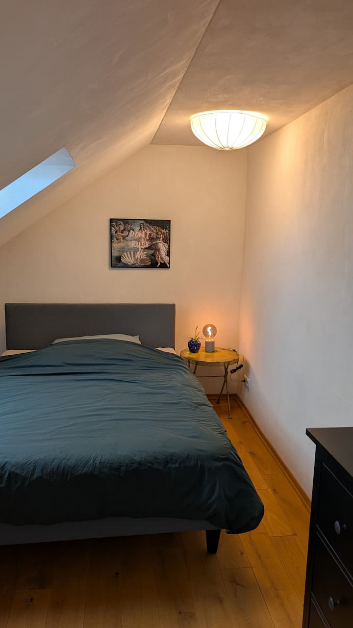 Zentrumsnahe Dg Wohnung Kassel - Kassel