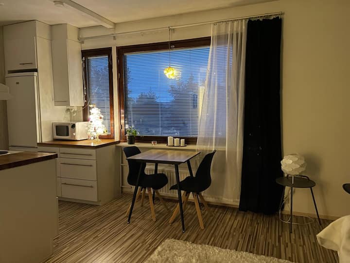 Viihtyisä Huoneisto Kahdelle - Rovaniemi