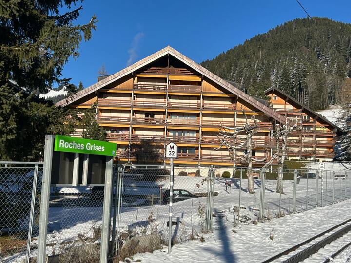 Apt For 4 W. Doublebed & Bedsofa - Les Diablerets