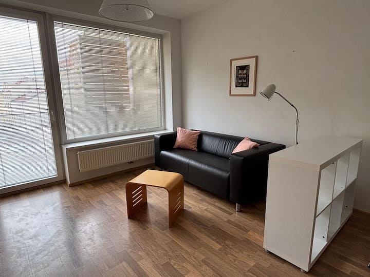 Apartmán Francouzská V Centru Brna - Brno