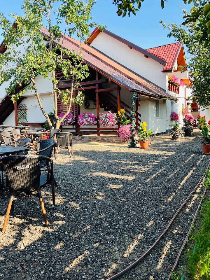 Cinema Villa Elena#2 - Iași