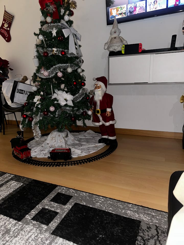 Habitación En Apartamento - Pinto