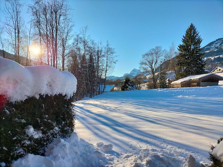Studio Coin Montagne Et Terrasse - Praz-sur-Arly