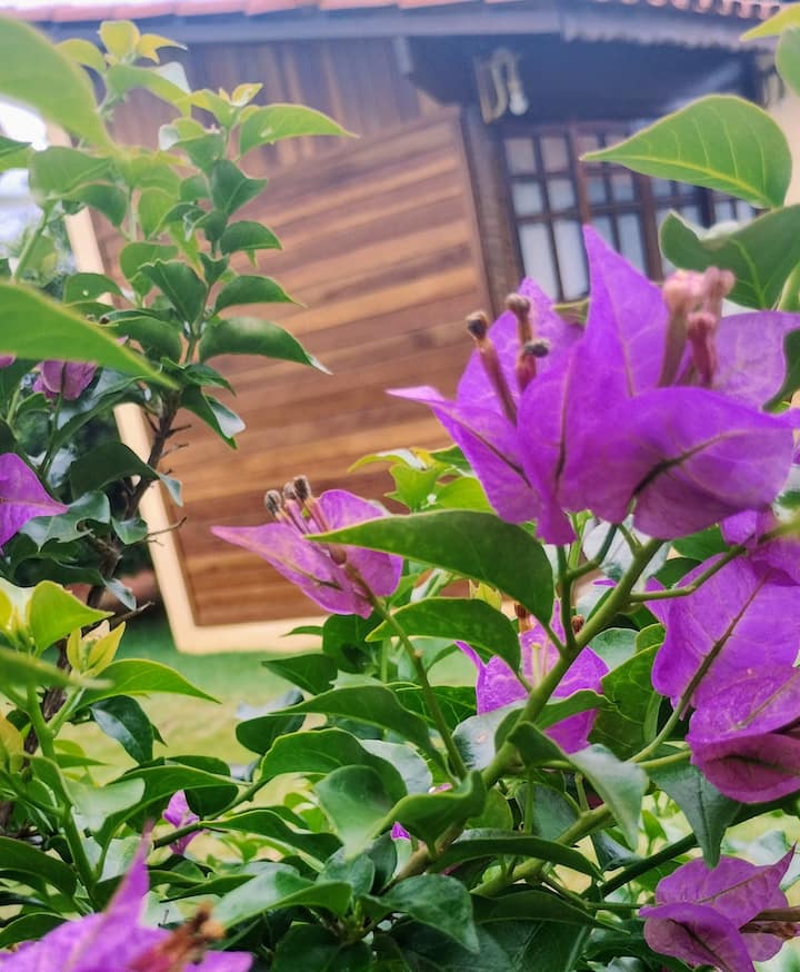 Chalé Amanhecer Para Casal - Socorro