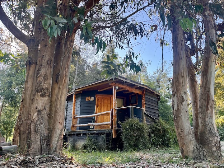 Loft En El Bosque, Excelente Ubicación - Constitución