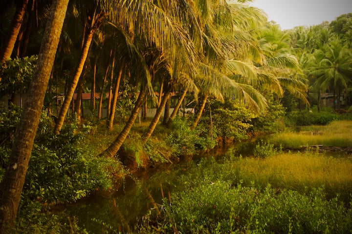 India Yoga Village With Stays - Goa