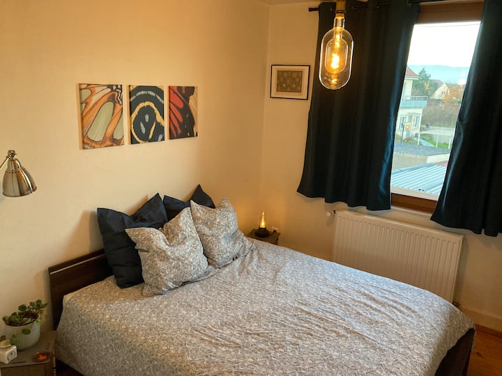 Chambre D’hôte Calme - à 10 Min De Colmar - フランス コルマール