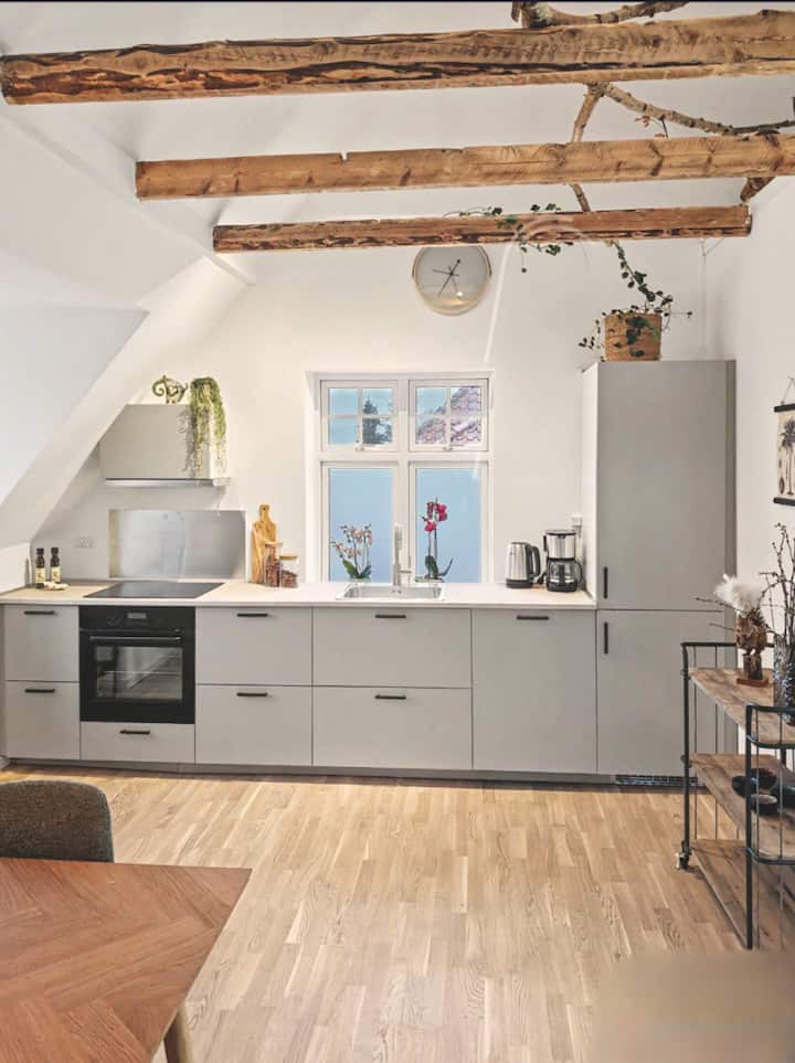 Nordisk Hyggelig Lejlighed - Aarhus