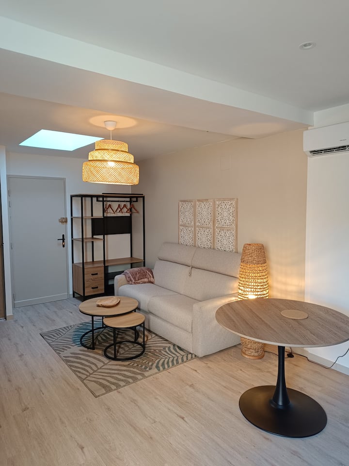 Appartement Centre-ville - Agen