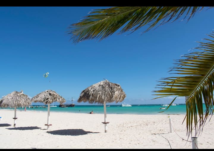 Disfruta Del Paraíso - Punta Cana