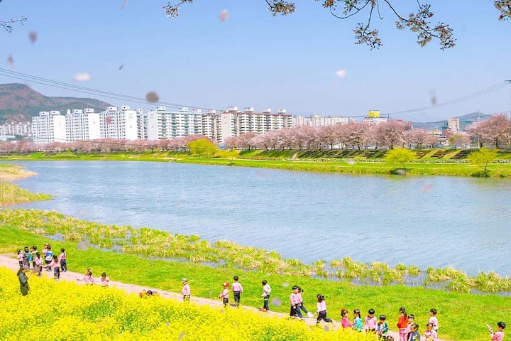 Private 2f Korean Style Stay-near Suncheon Station - Suncheon-si