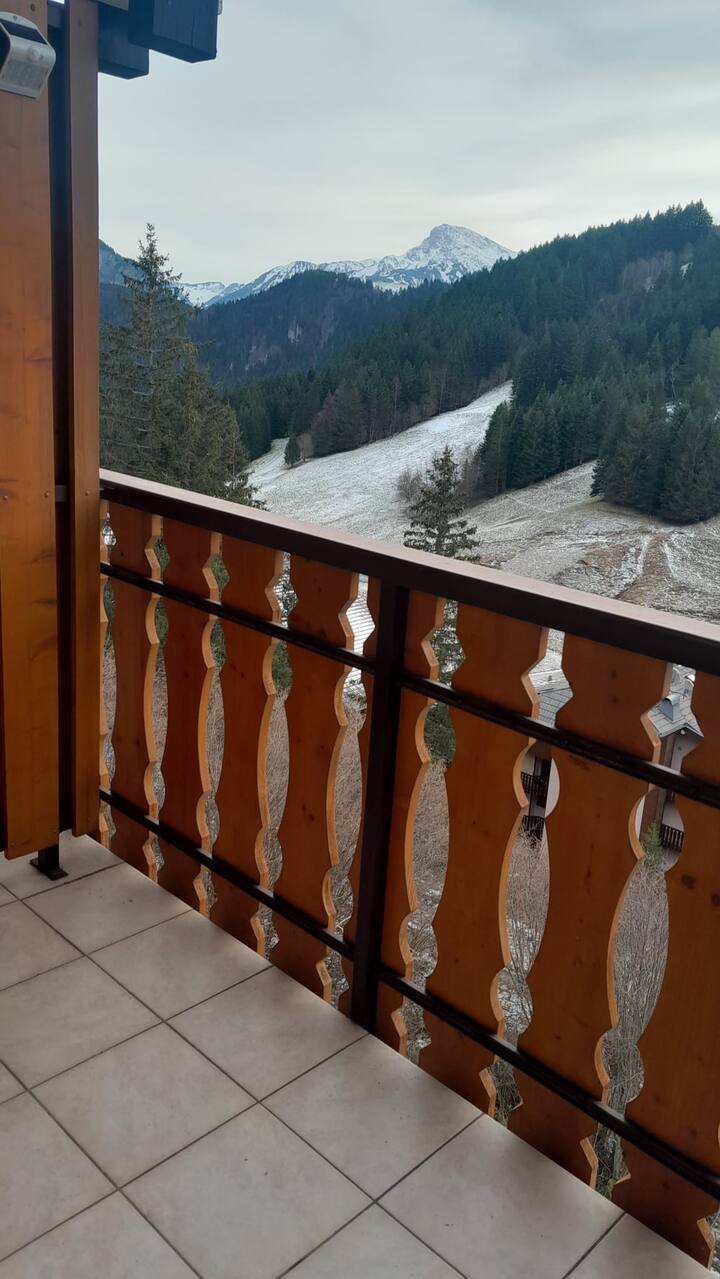 Appartement Vu Sur La Montagne - Abondance